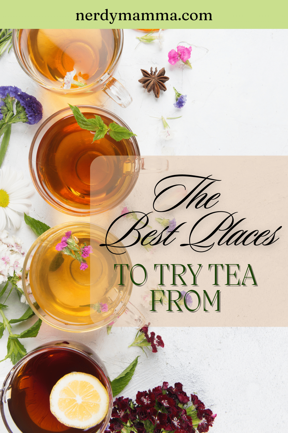 The Best Places to Try Tea From - Nerdy Mamma