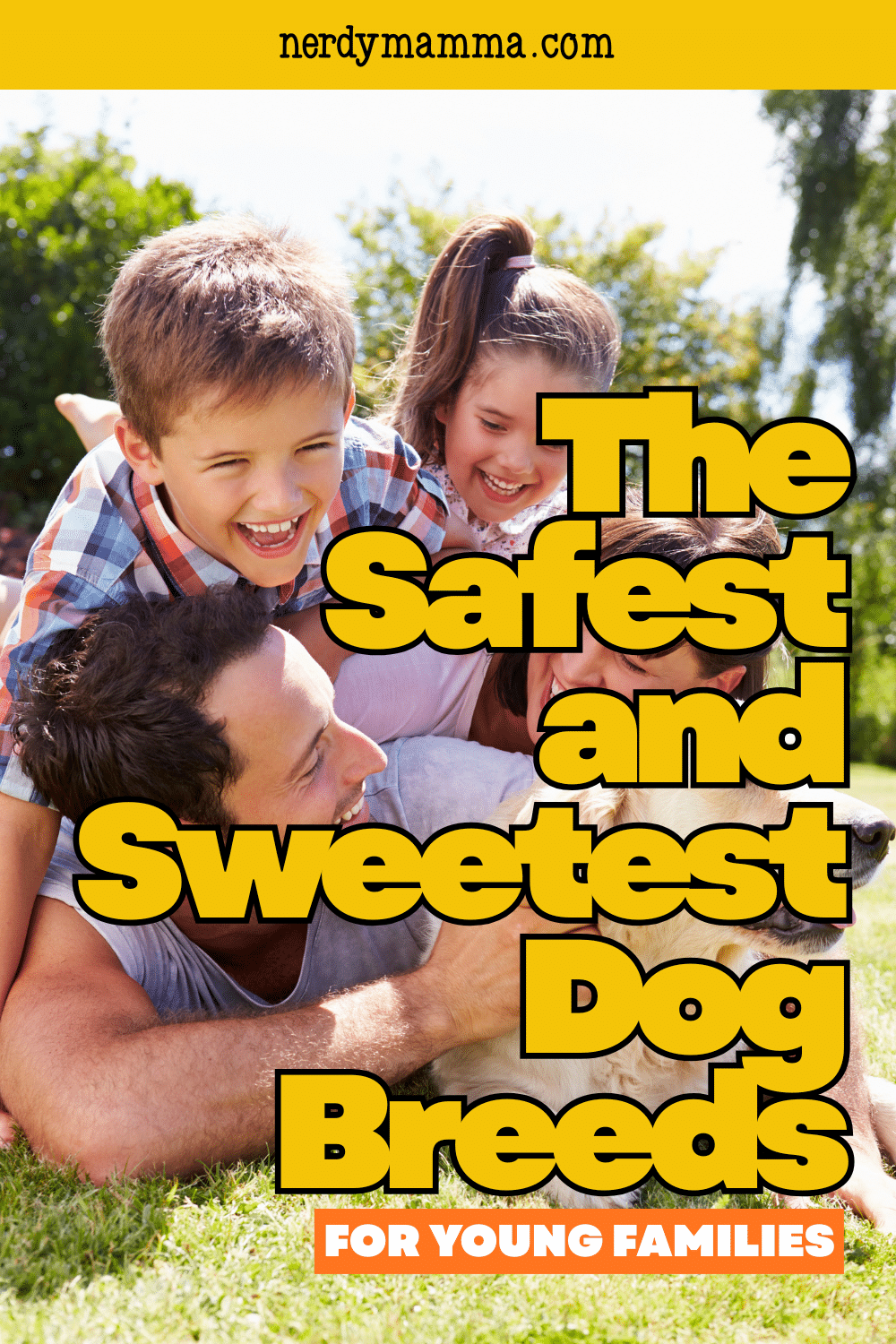 The Safest and Sweetest Dog Breeds for Young Families - Nerdy Mamma