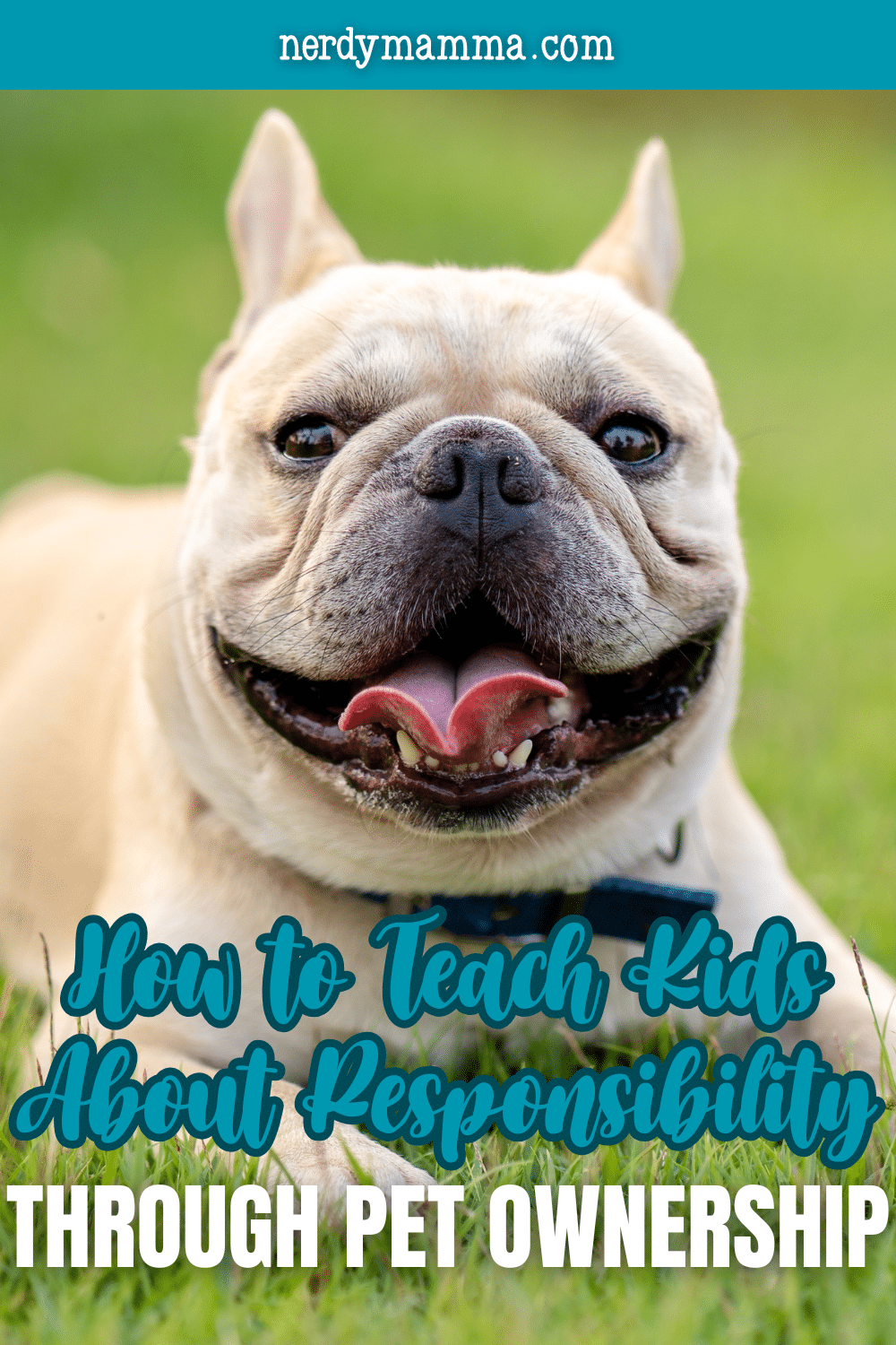 How to Teach Kids About Responsibility Through Pet Ownership - Nerdy Mamma