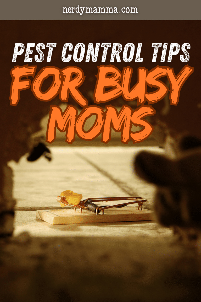 Pest Control Tips for Busy Moms - Nerdy Mamma