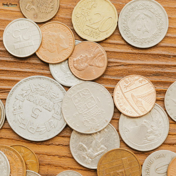Top 5 Free Coin Identifier Apps - Nerdy Mamma