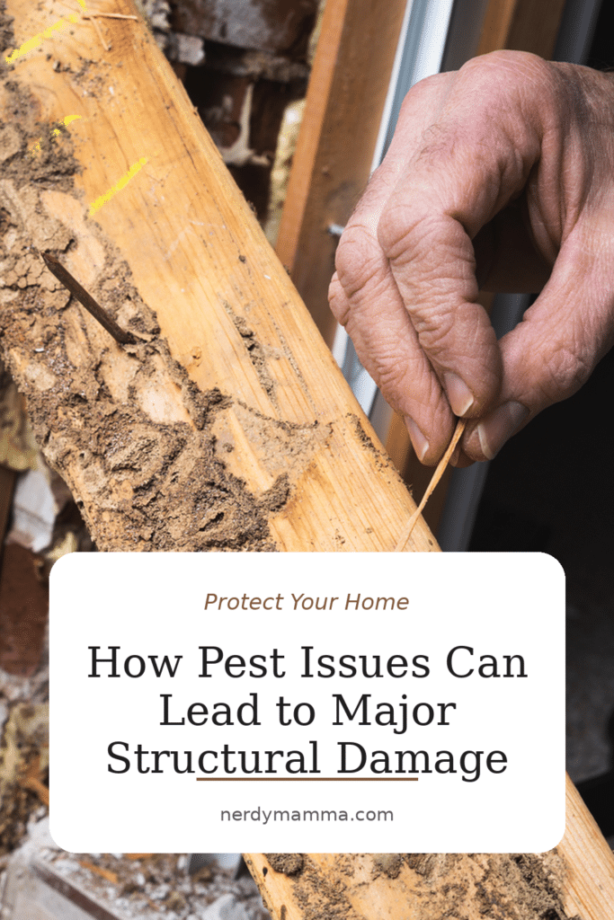 How Pest Issues Can Lead to Major Structural Damage - Nerdy Mamma